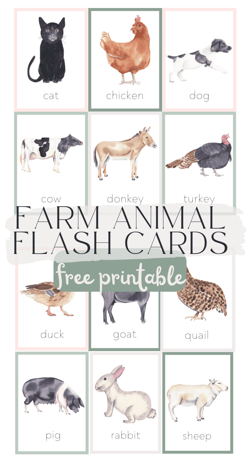 Farm Animal Flash Cards (Free Printable) · Growing Dawn