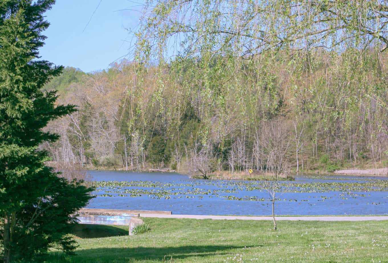 Christian Homesteading: A Story Of Community · Growing Dawn