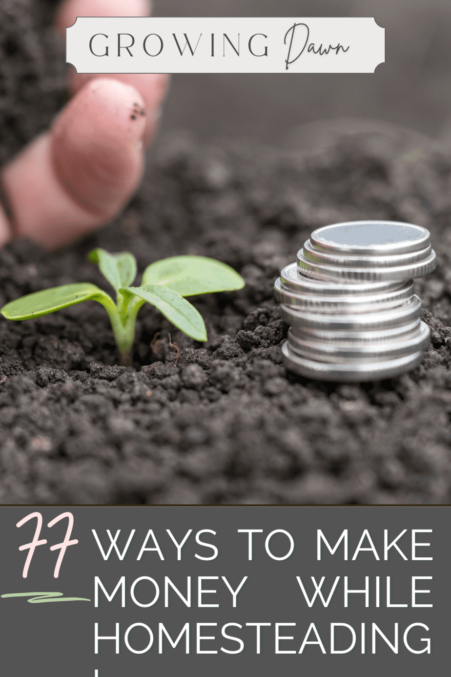 77 Ways To Make Money Homesteading Growing Dawn