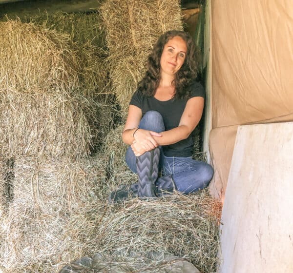 Outdoor Hay Storage Ideas: Keeping Hay Without A Barn · Growing Dawn