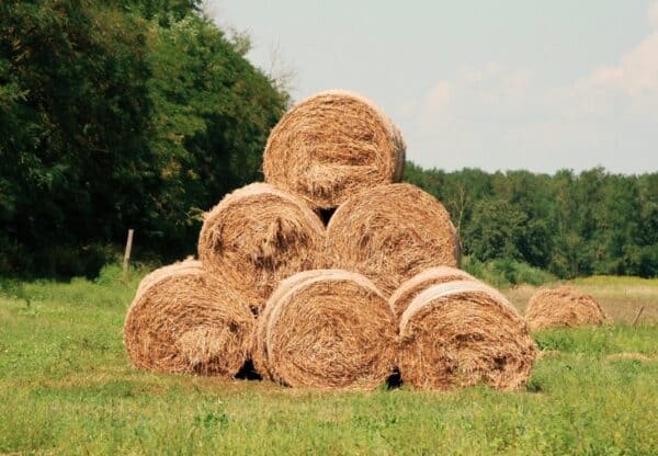 Outdoor Hay Storage Ideas: Keeping Hay Without A Barn · Growing Dawn