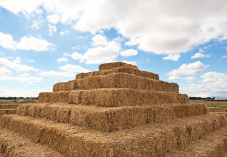 Outdoor Hay Storage Ideas: Keeping Hay Without A Barn · Growing Dawn